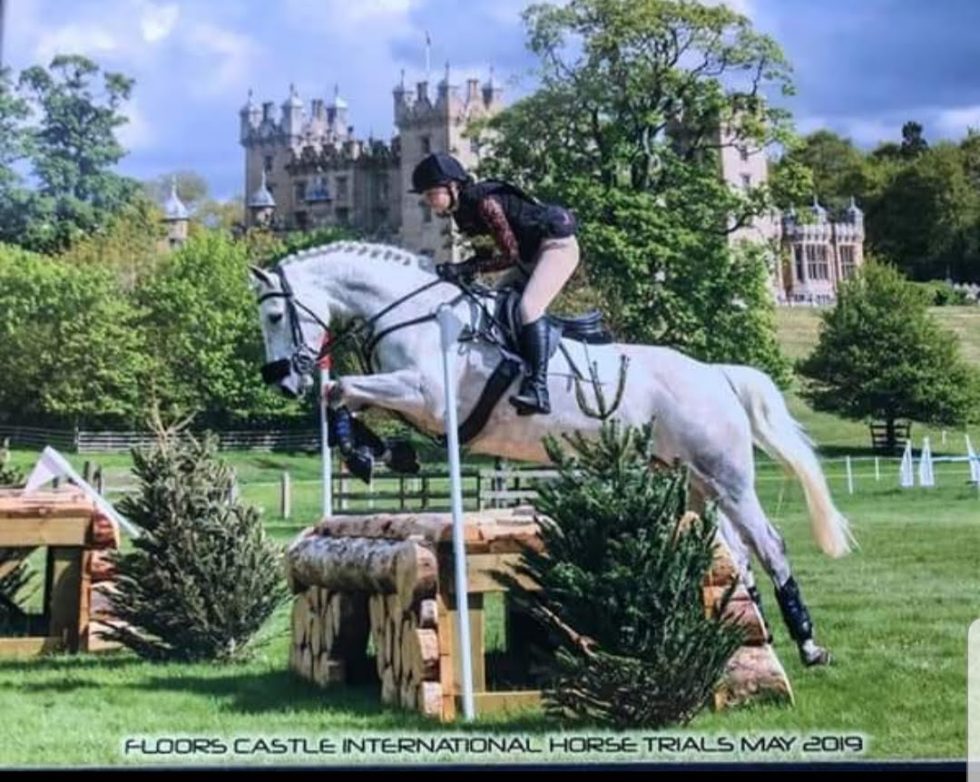 Rachel McIntosh | Kevin Reilly Connemara Ponies